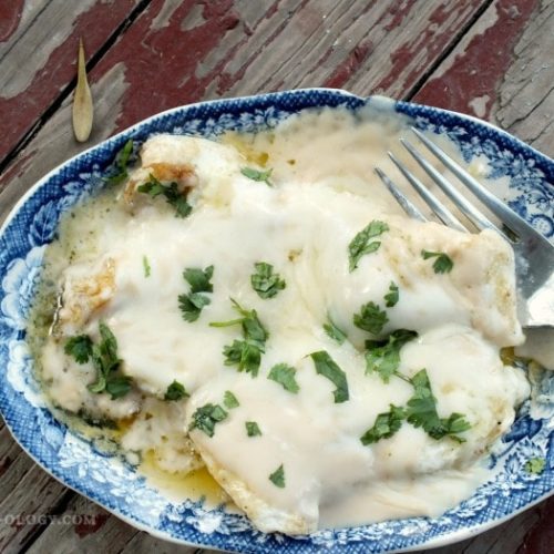 Low Carb Ravioli with Two Fillings - Lowcarb-ology