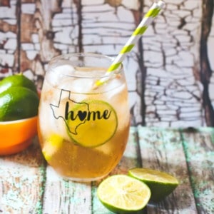 White Wine Cocktail: Bright Winter Wine Spritzer - Lowcarb-ology
